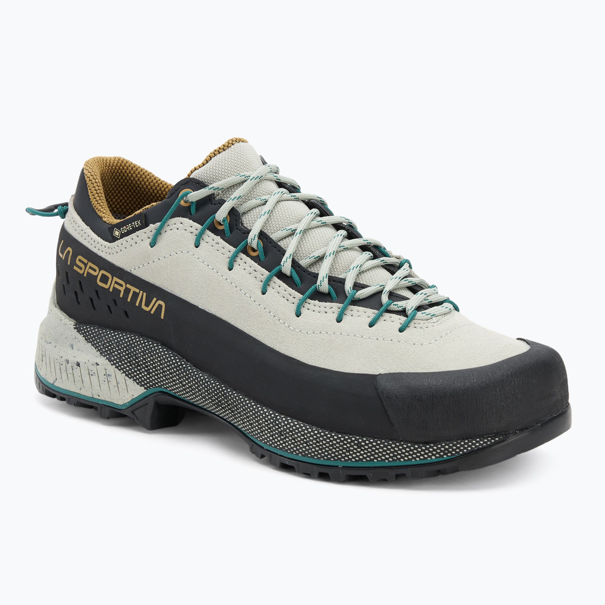 Pánské přístupové boty La Sportiva TX4 Evo GTX carbon/bamboo ...